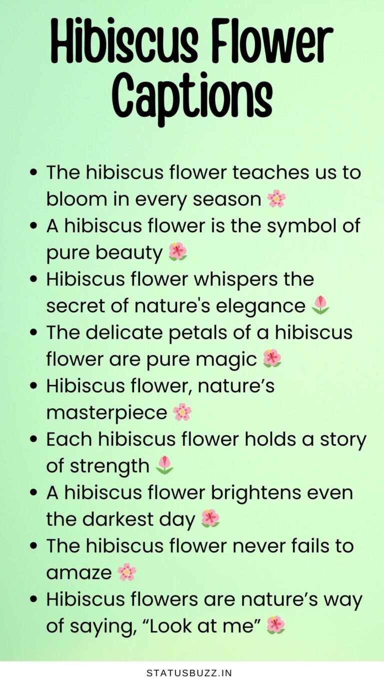 140+ Hibiscus Captions & Quotes For Instagram - StatusBuzz