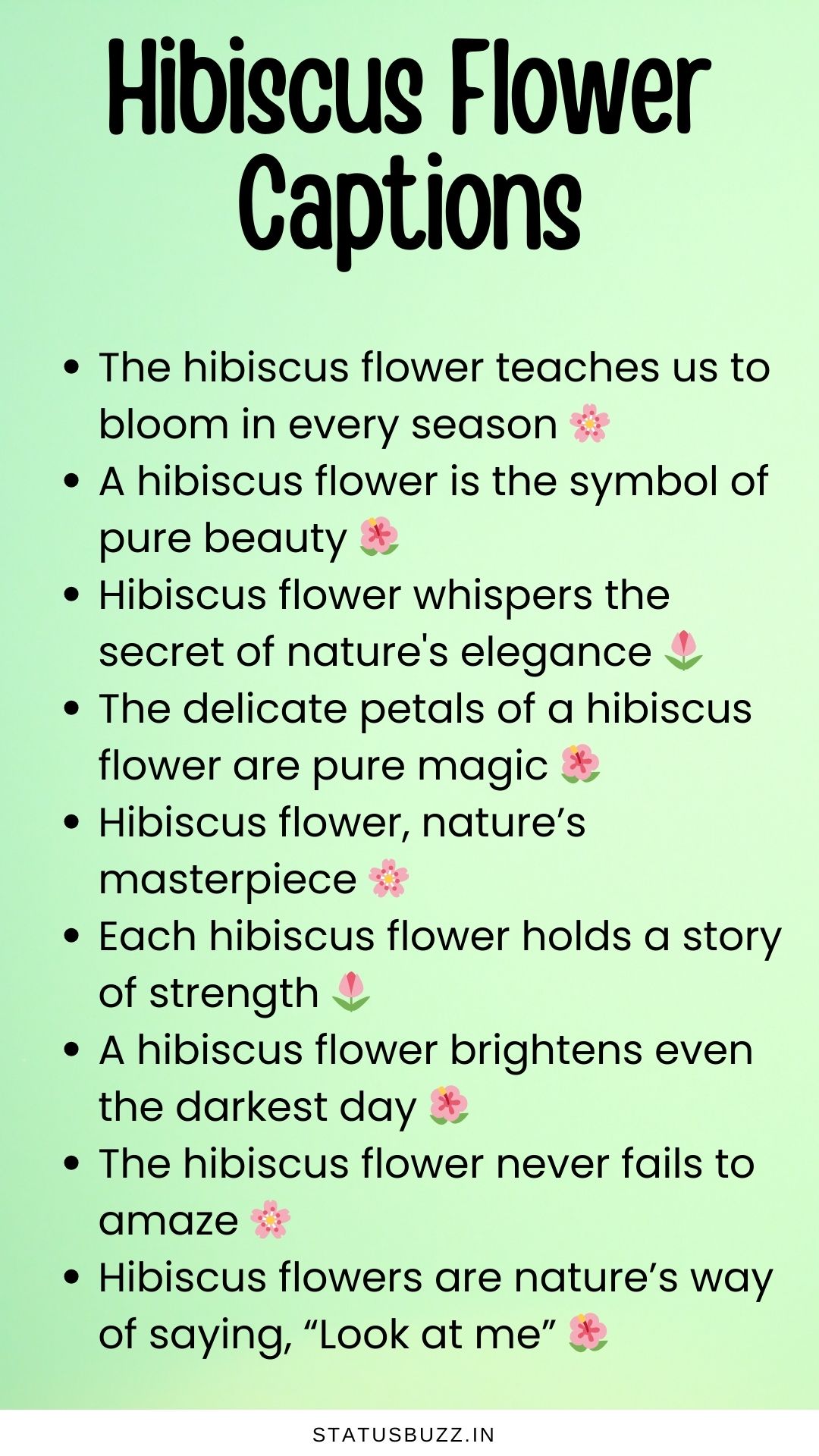 140+ Hibiscus Captions & Quotes For Instagram - StatusBuzz