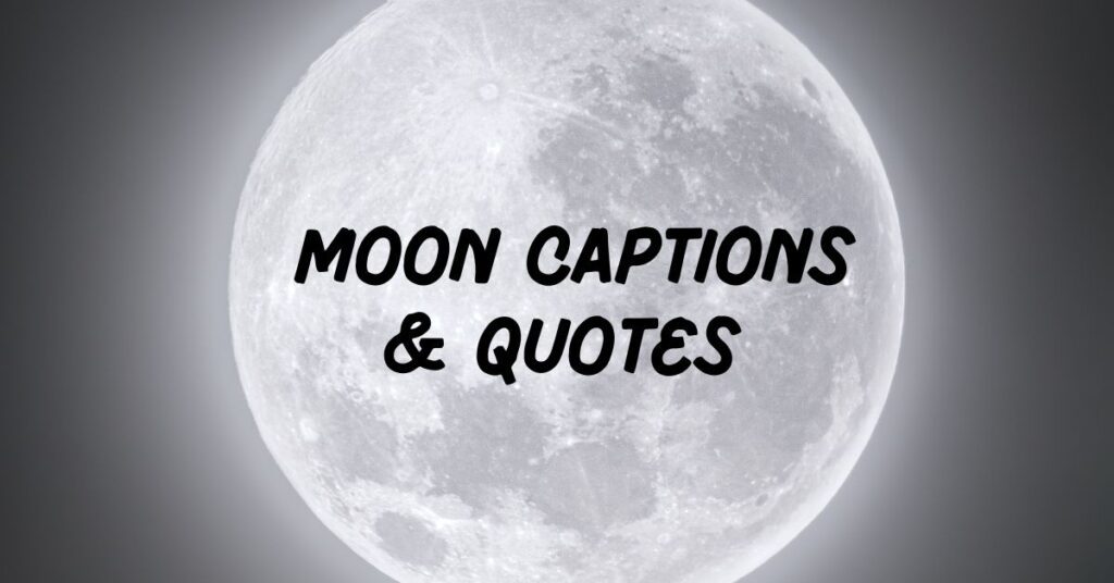 260+ Moon Captions, Quotes & Puns - StatusBuzz