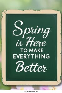 80+ Spring Chalkboard Ideas & Quotes - StatusBuzz