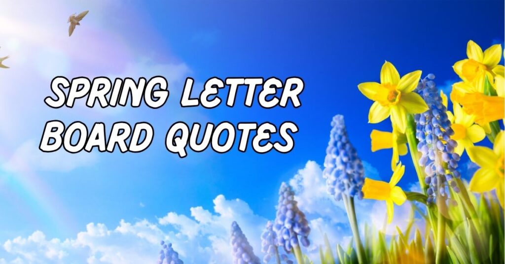 200+ Spring Letter Board Quotes to Celebrate the Season - StatusBuzz