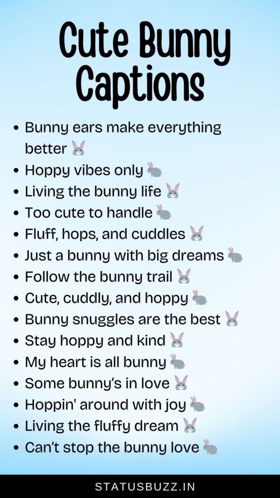 220+ Bunny Captions, Quotes & Puns - StatusBuzz