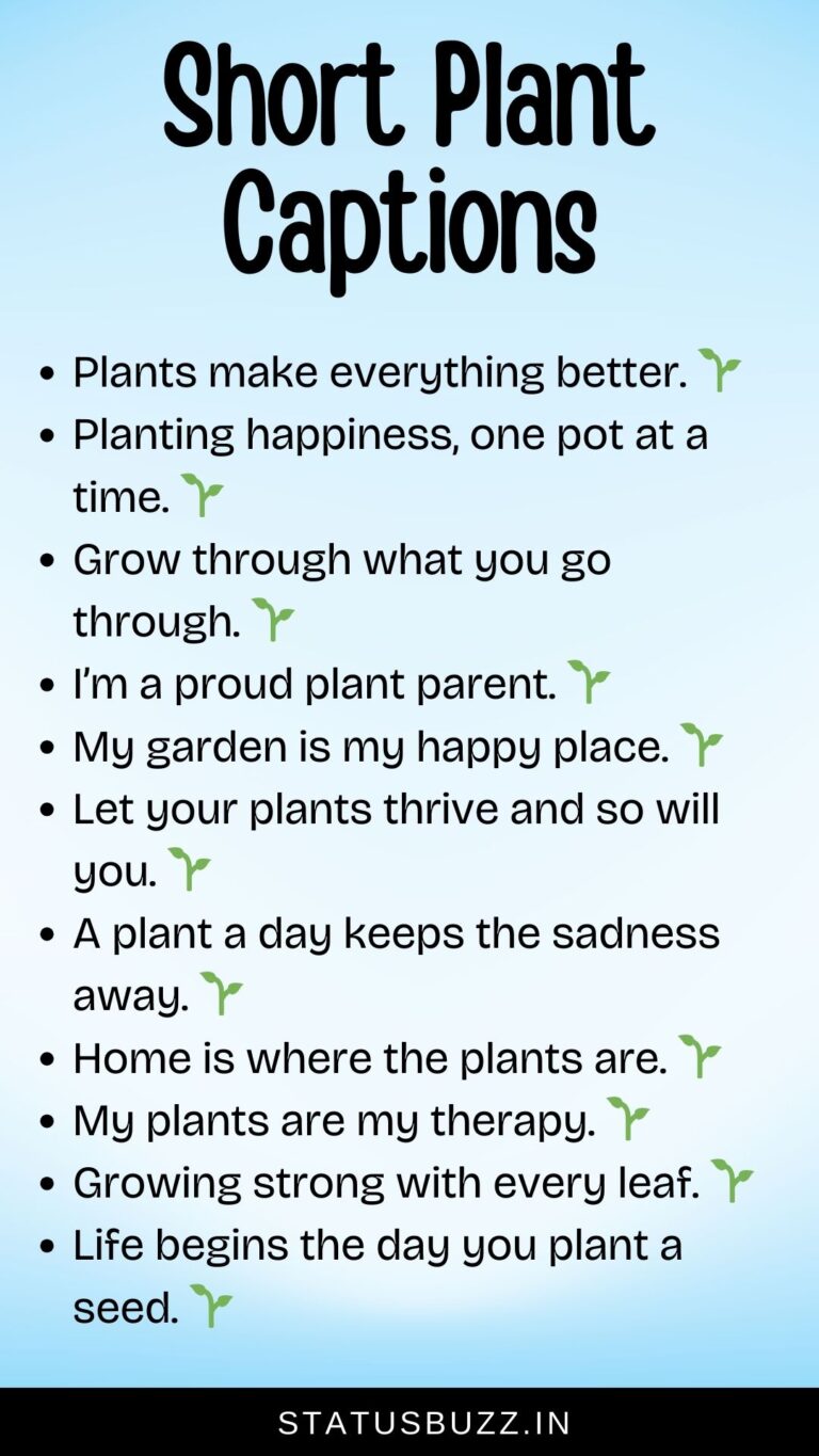 220+ Plant Captions & Quotes For Instagram - StatusBuzz