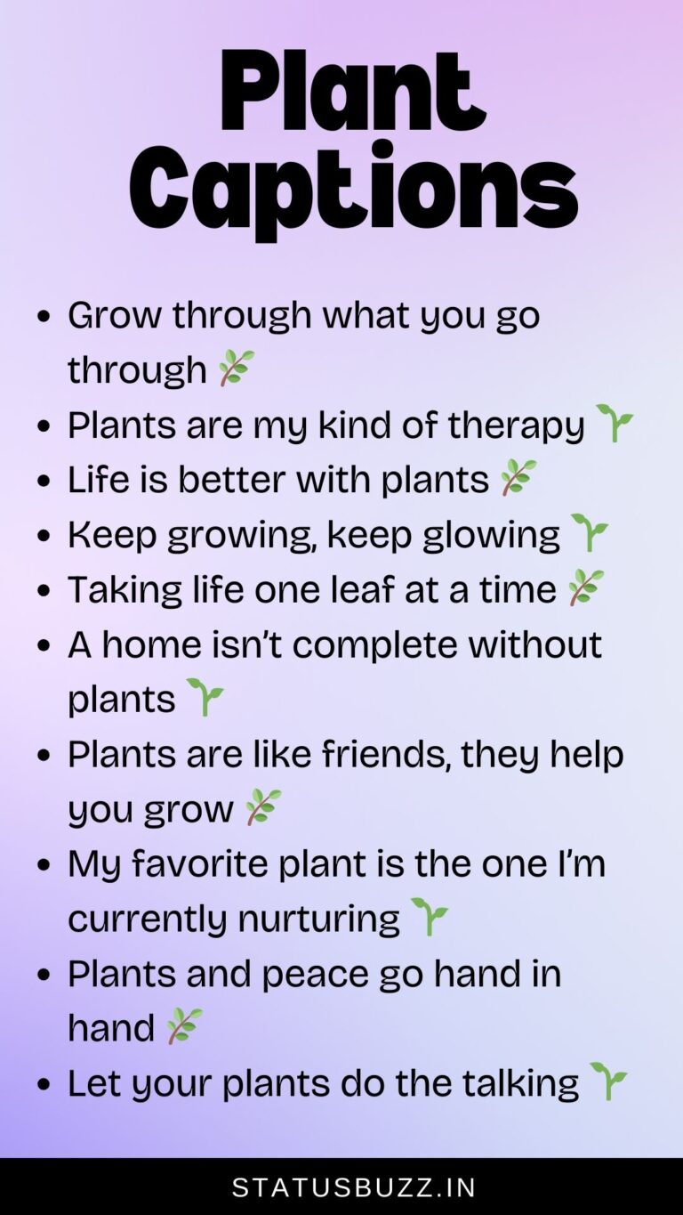 220+ Plant Captions & Quotes For Instagram - StatusBuzz