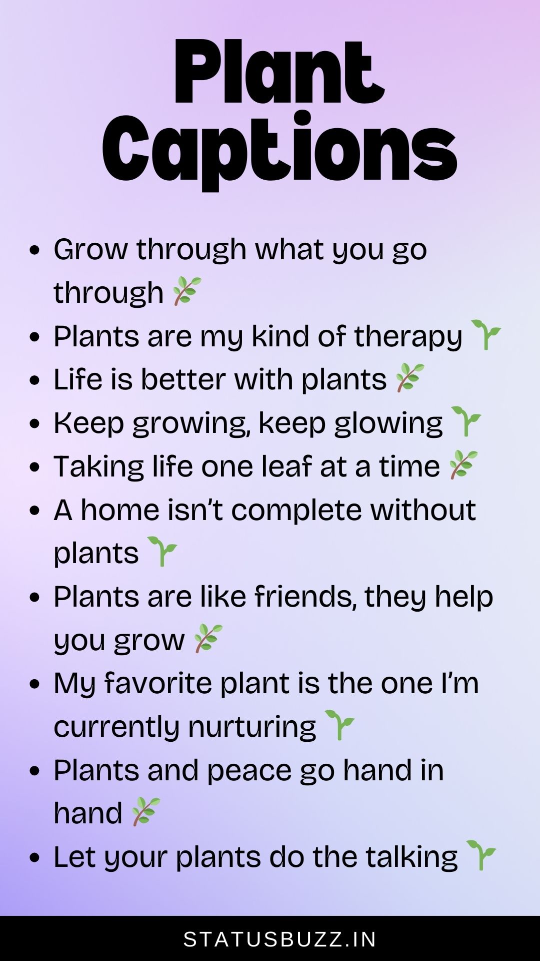 220+ Plant Captions & Quotes For Instagram - StatusBuzz