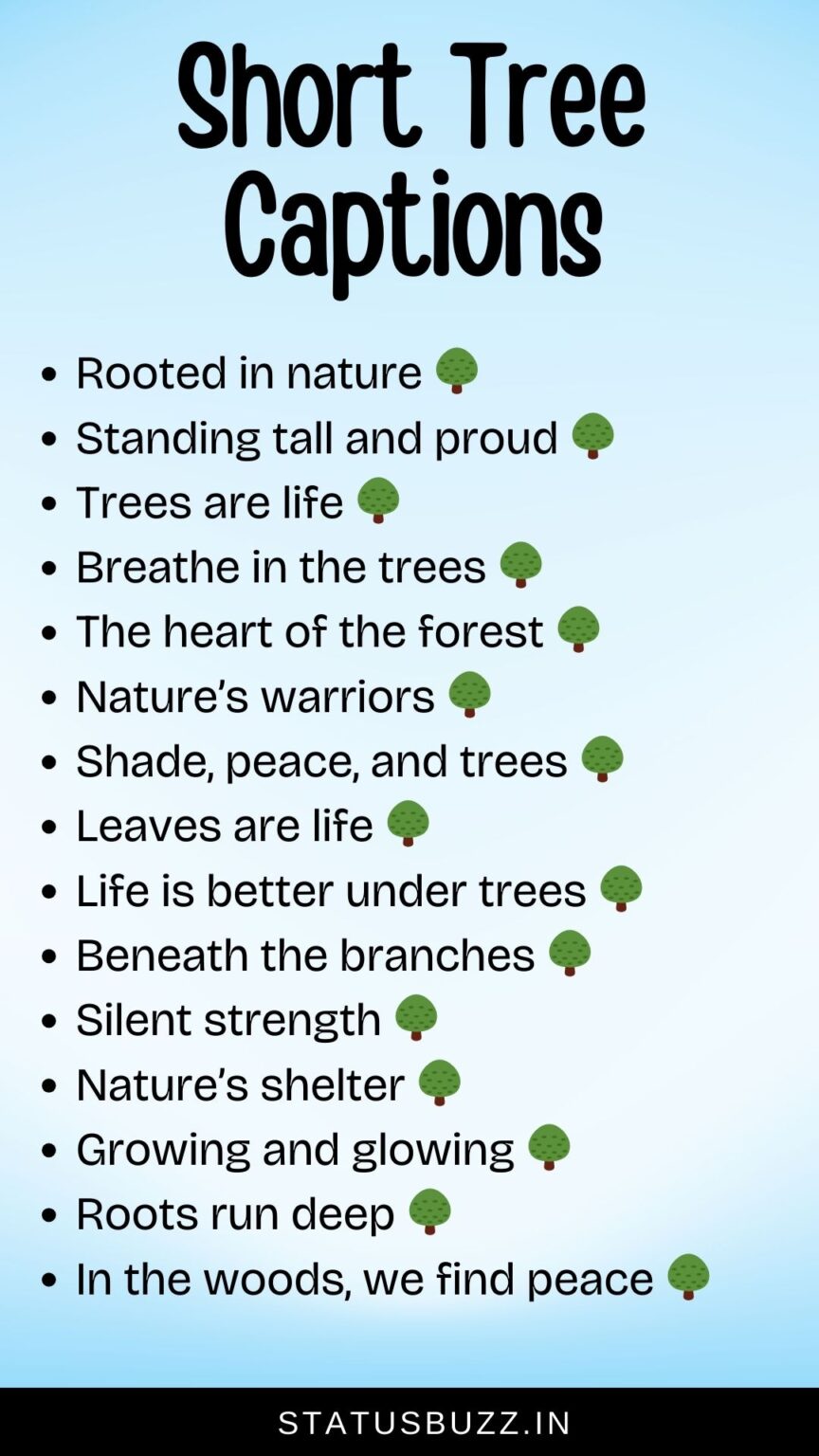 110+ Tree Captions & Quotes For Instagram - StatusBuzz