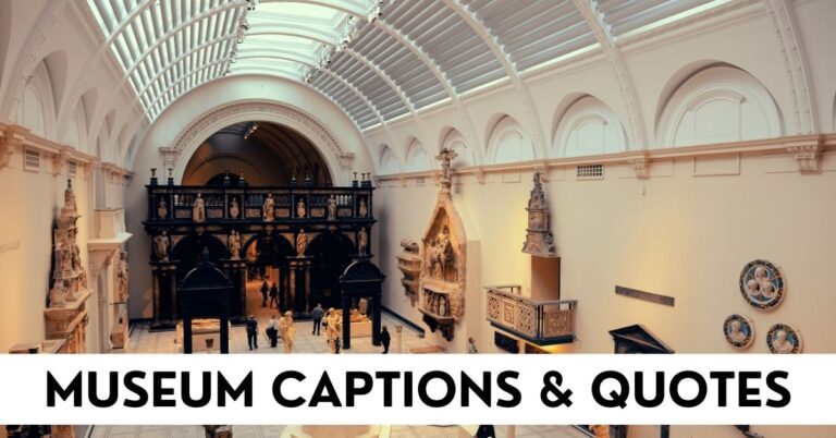 120+ Museum Captions & Quotes For Instagram - StatusBuzz