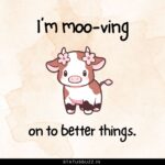 140+ Cow Puns, Captions & Quotes - StatusBuzz