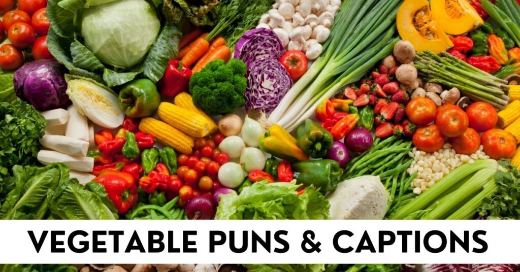 180+ Vegetable Puns, Captions & Jokes - StatusBuzz
