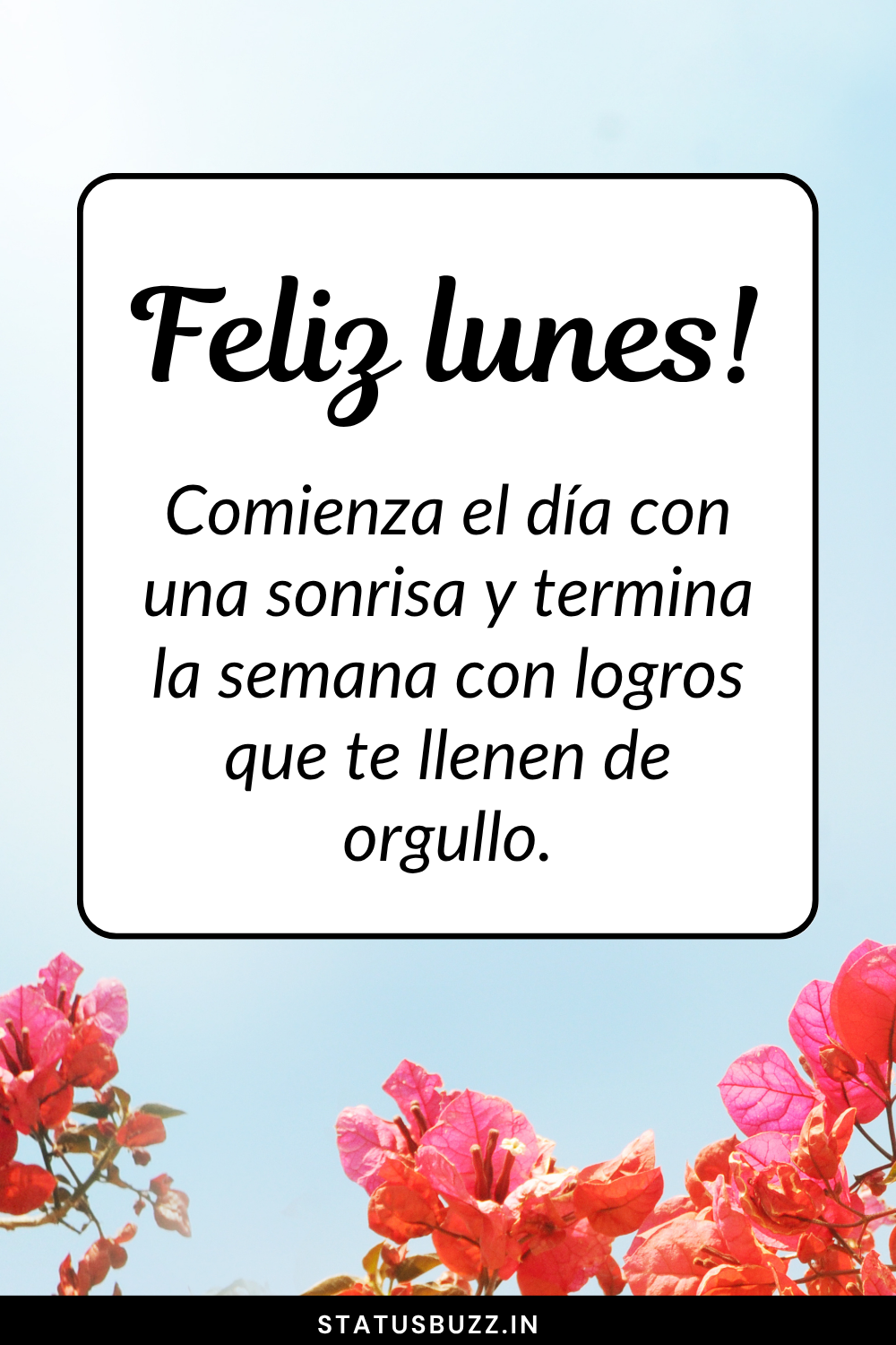 120+ Frases de Feliz Lunes para Empezar con Energía - StatusBuzz