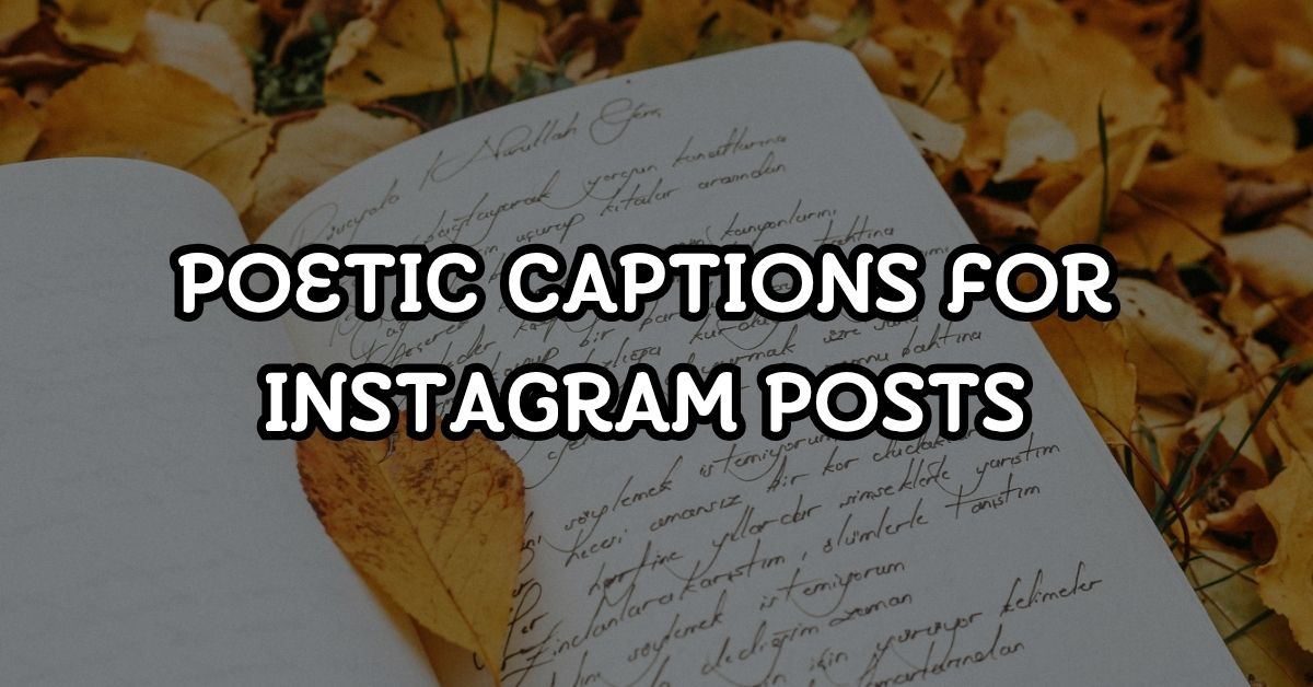170+ Poetic Captions For Instagram Posts - StatusBuzz