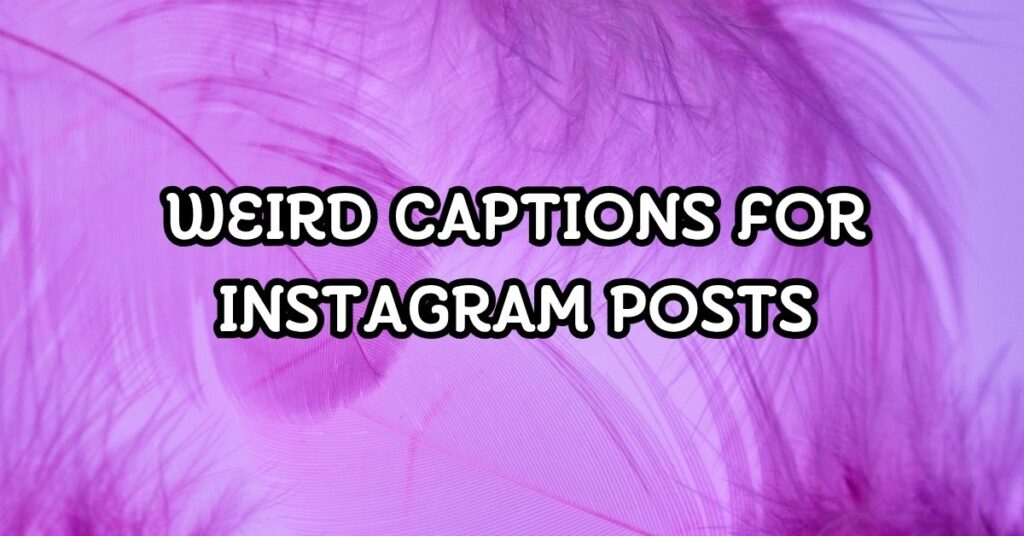 110+ Weird Captions For Instagram Posts - StatusBuzz