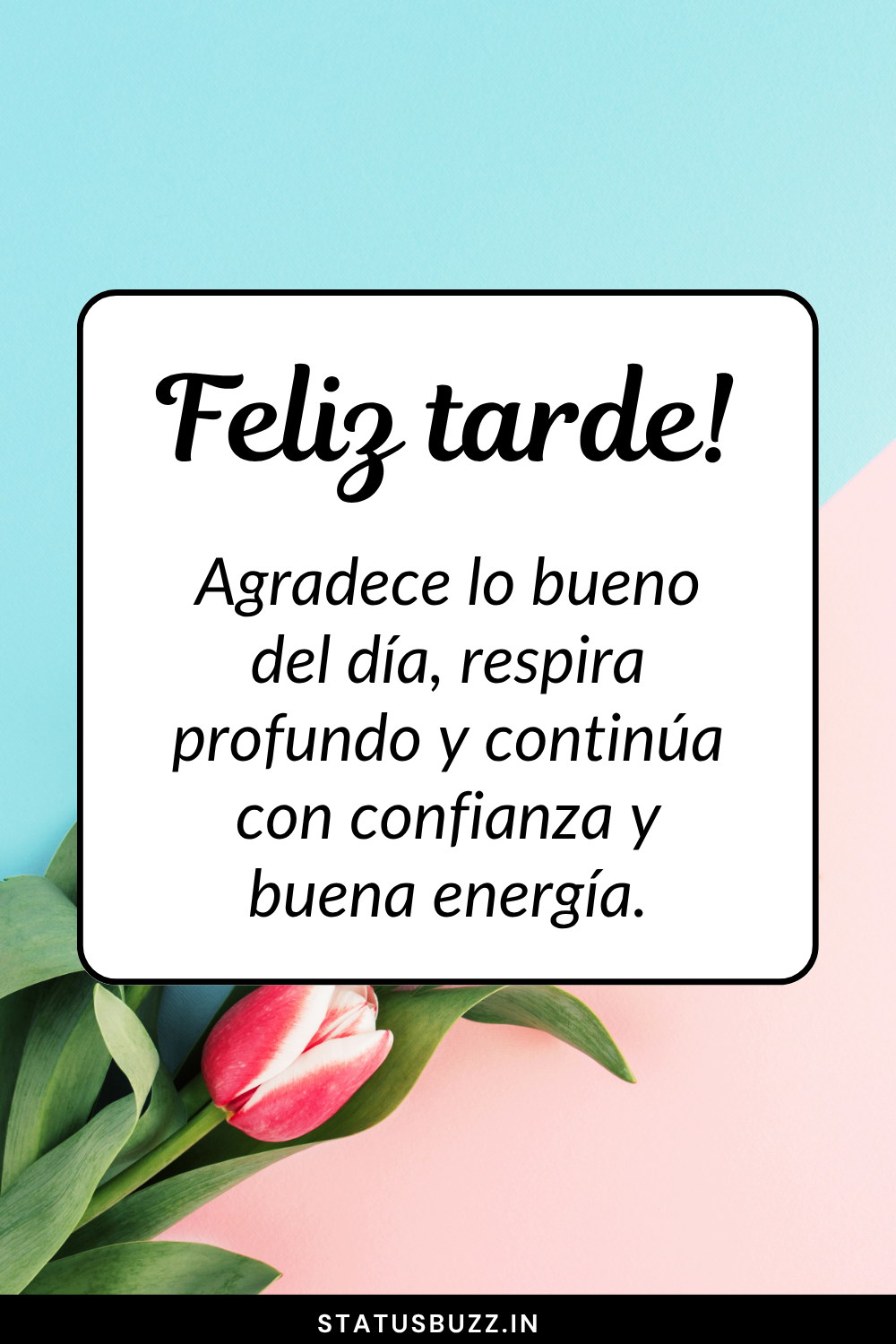 70+ Feliz tarde frases positivas para compartir y alegrar el día ...
