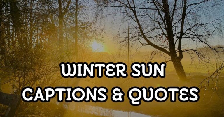 130+ Winter Sun Captions & Quotes For Instagram - StatusBuzz