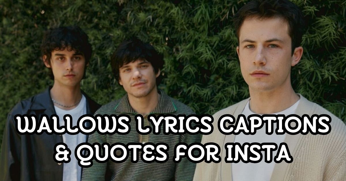 70+ Wallows Lyrics Captions & Quotes For Instagram - StatusBuzz