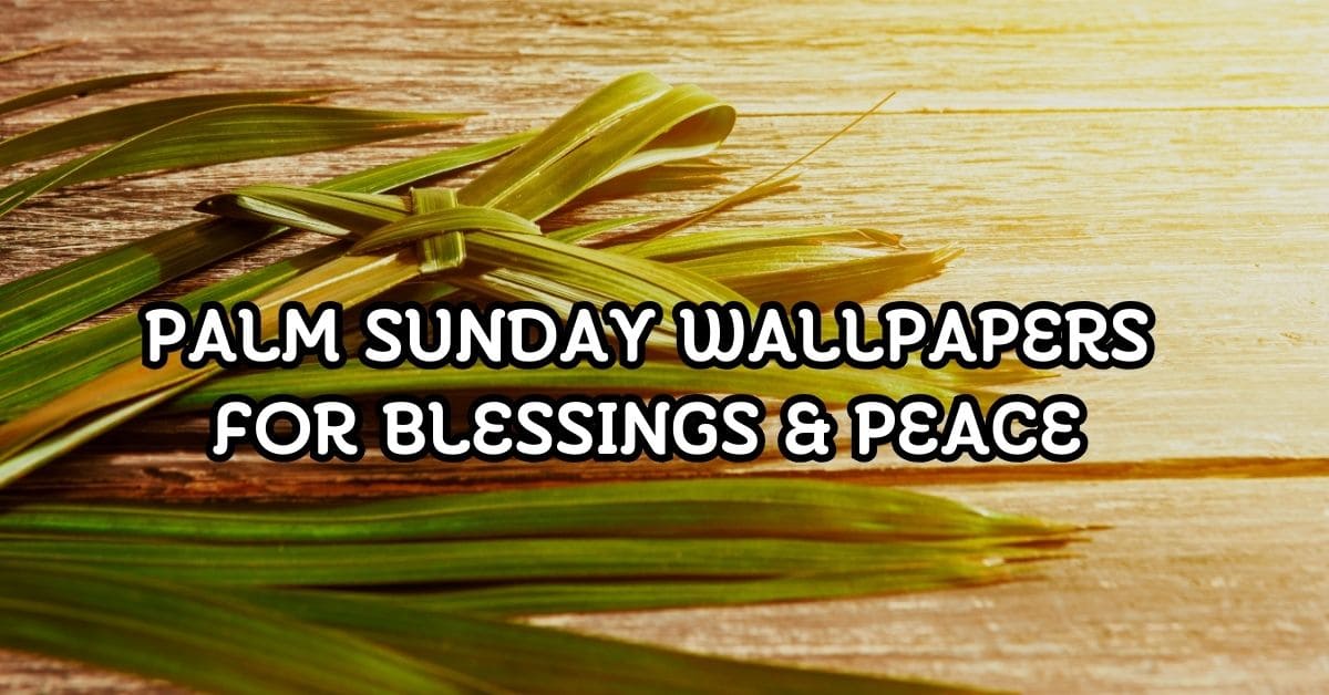 30 Palm Sunday Wallpapers for Blessings & Peace - StatusBuzz